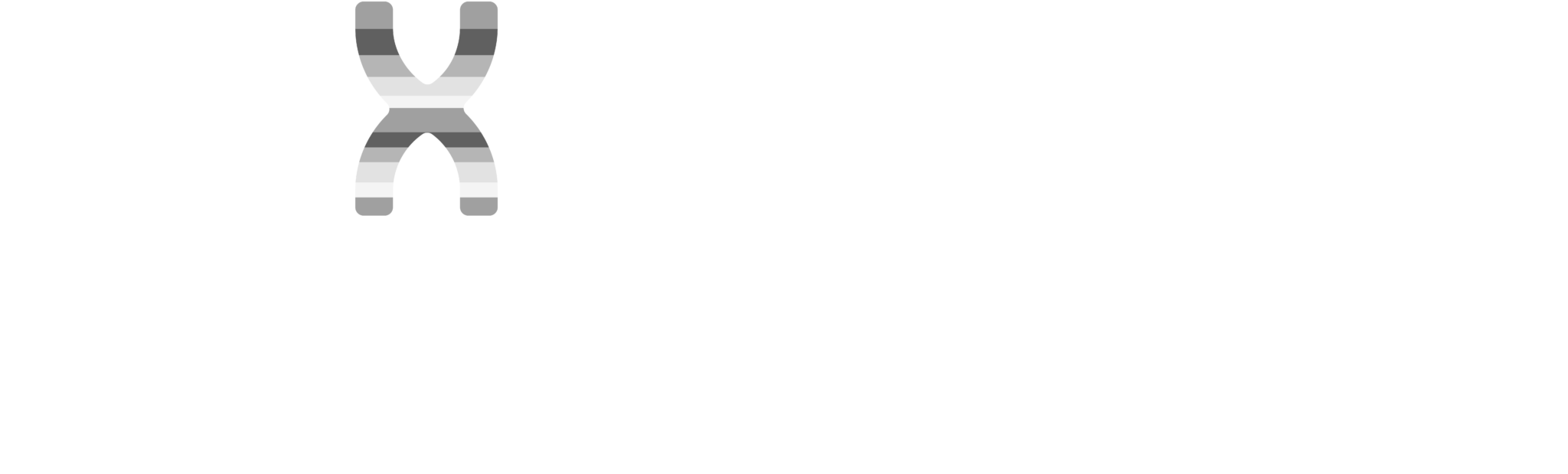 Best Practises for Successful CosMx SMI Runs – Next Level Genomics