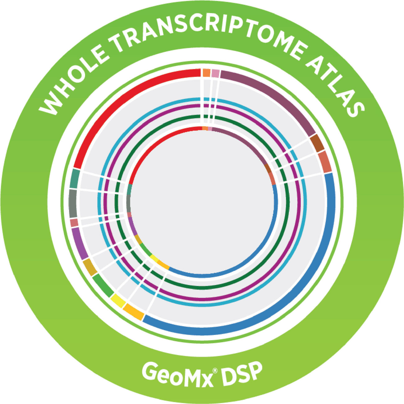 Spatial – Next Level Genomics
