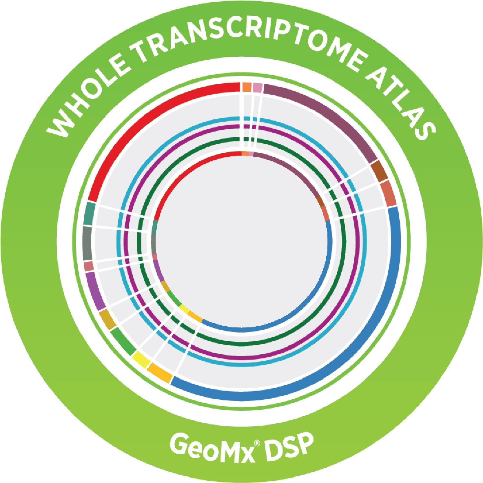 Spatial – Next Level Genomics